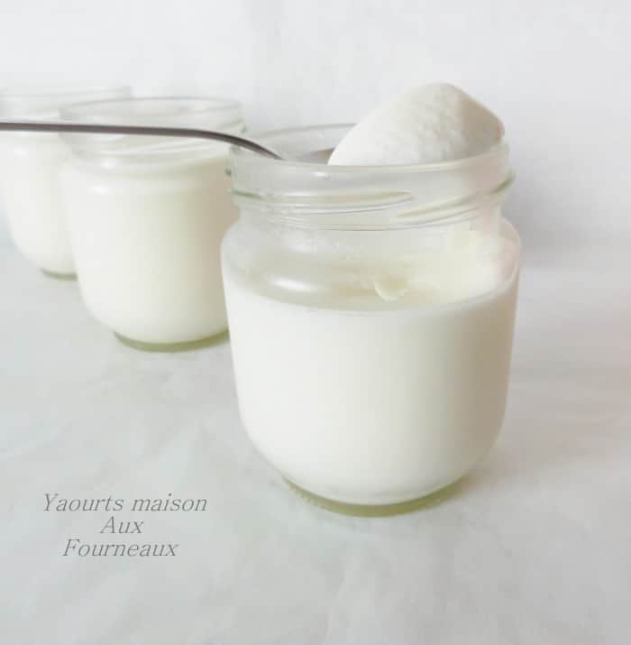 Choisir sa yaourtière | Aux Fourneaux :Aux Fourneaux
