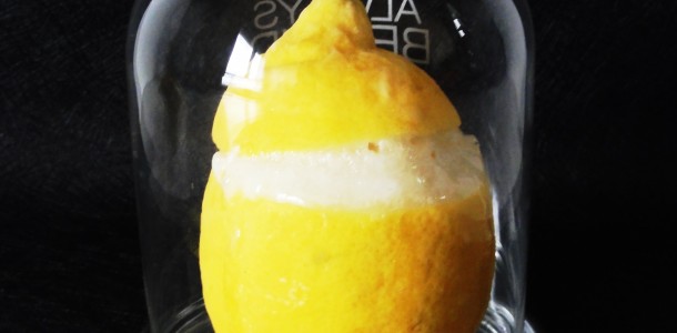 Comment faire un citron givré ? | Aux Fourneaux